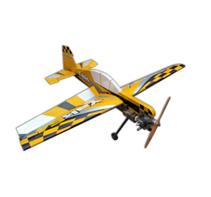 SkyRaccoon